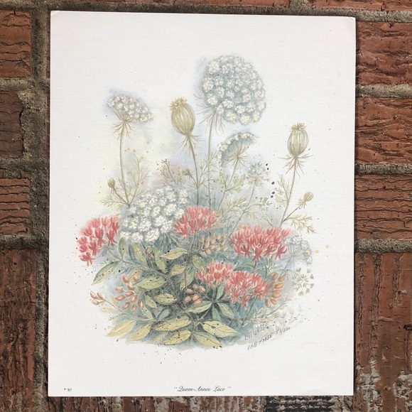 Van Hoose | Art | Vintage 987 Van Hoose Queensannes Lace Limited ...